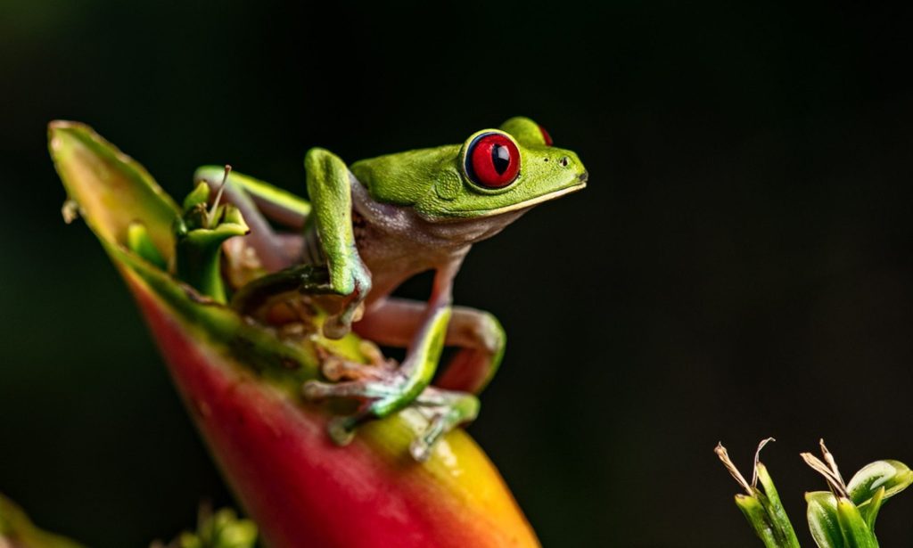Welcome - Tom Bol Photo Workshops