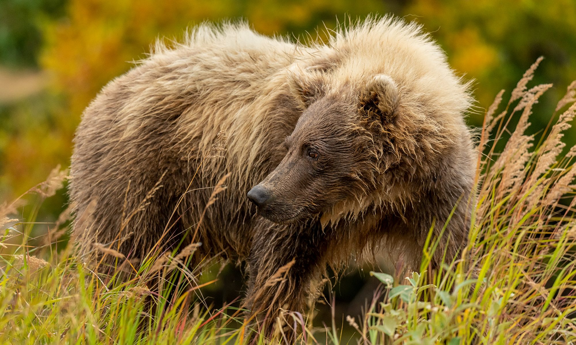 Welcome - Tom Bol Photo Workshops