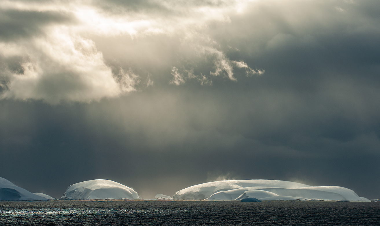South Georgia, Antarctica & Falklands - Tom Bol Photo Workshops