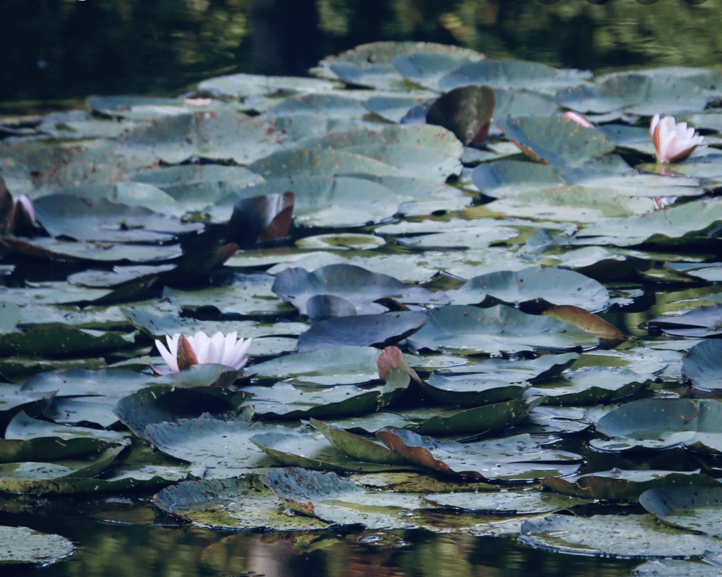 September 2023 - Photo of the Month - Tom Bol Photo Workshops