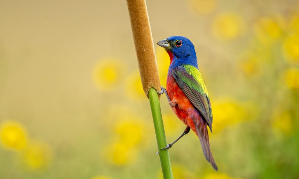 Welcome - Tom Bol Photo Workshops