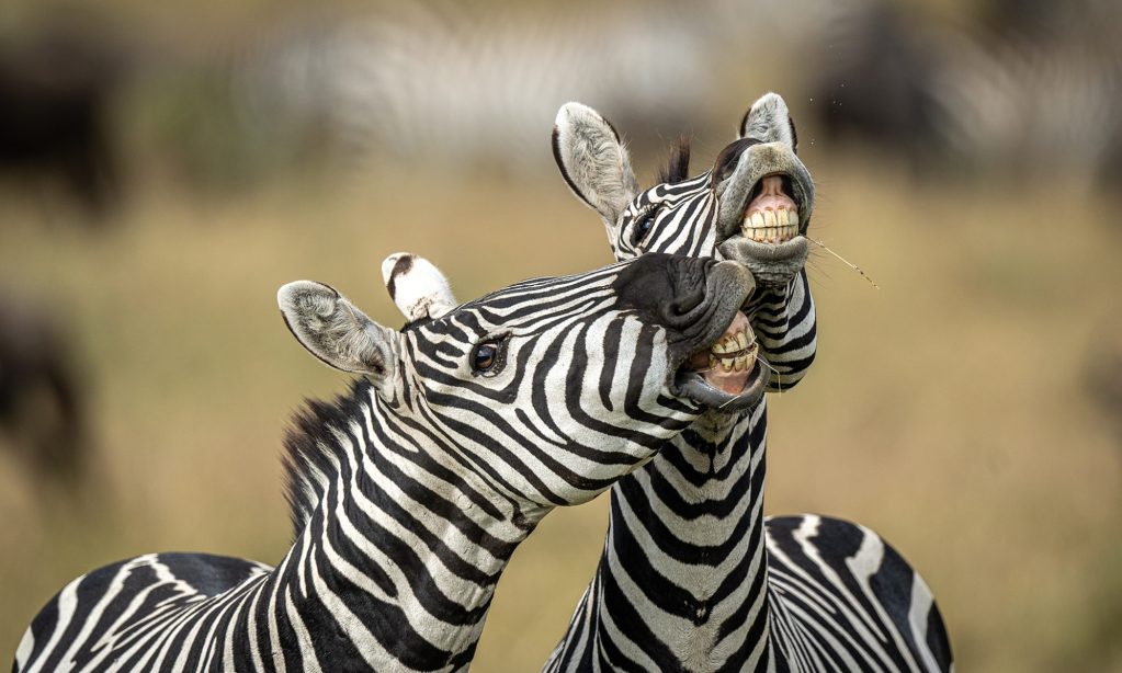 Welcome - Tom Bol Photo Workshops