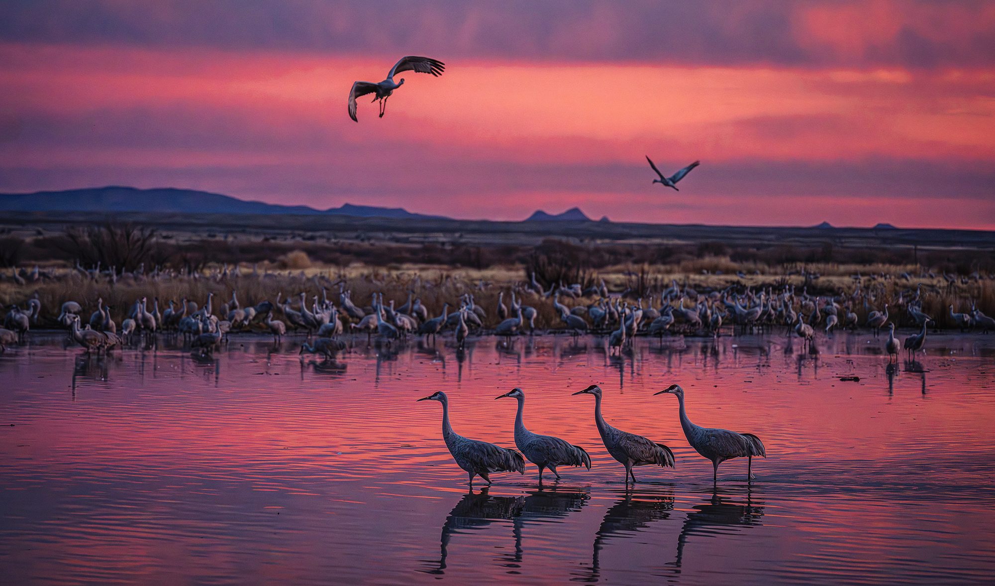 Bosque & White Sands 2028 - Tom Bol Photo Workshops