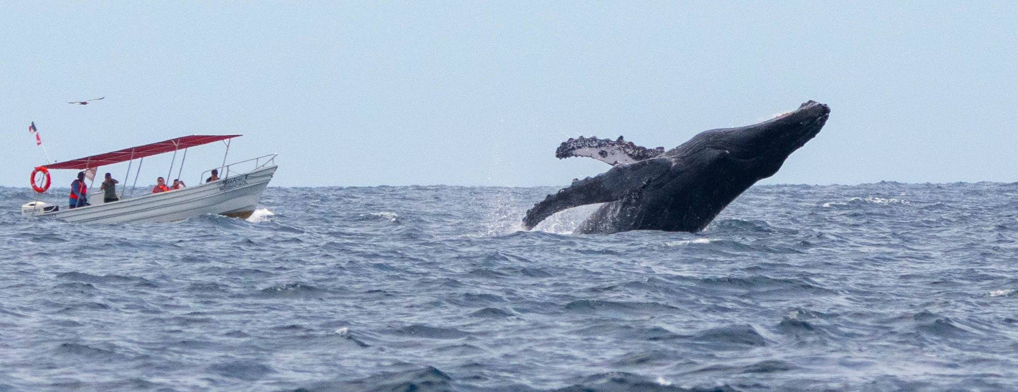 Photographer of the Month - February 2025 - Tom Bol Photo Workshops