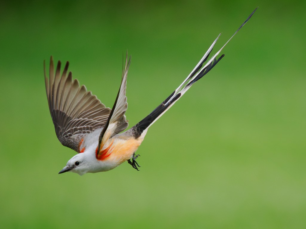 April 2025: Photographer of the Month - Tom Bol Photo Workshops